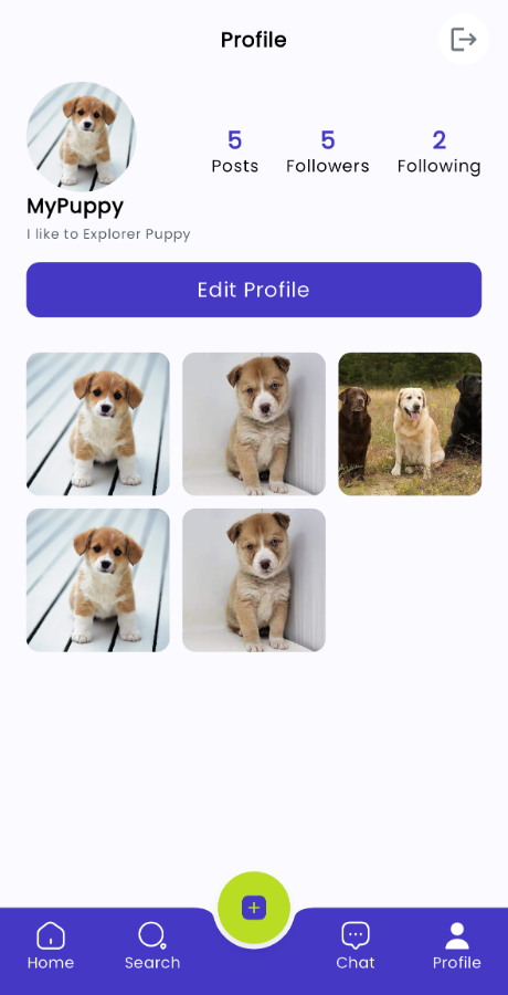 Pet Dating app - Flutter App Code by appsellpoint | CodeCanyon